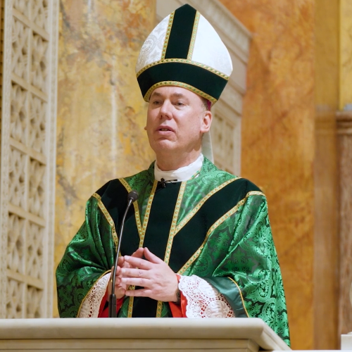 All Videos - Adeodatus