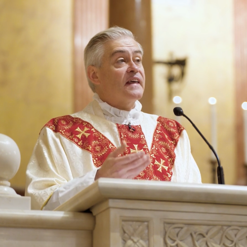 All Videos - Adeodatus